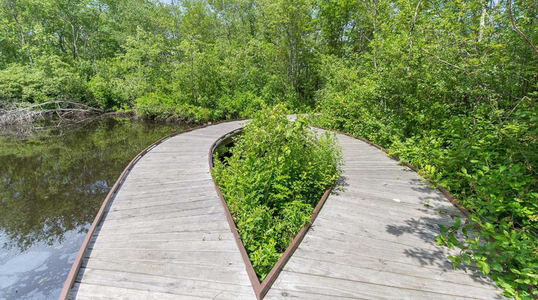 Eastman Conservation Trail at Newman Elementary School - MJ Cataldo ...