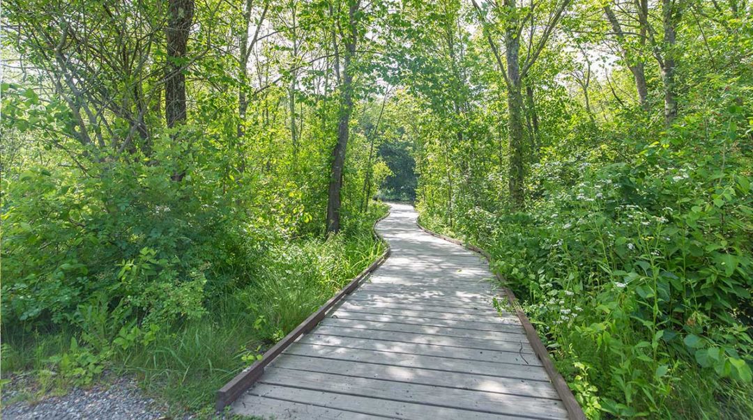 Eastman Conservation Trail at Newman Elementary School - MJ Cataldo ...