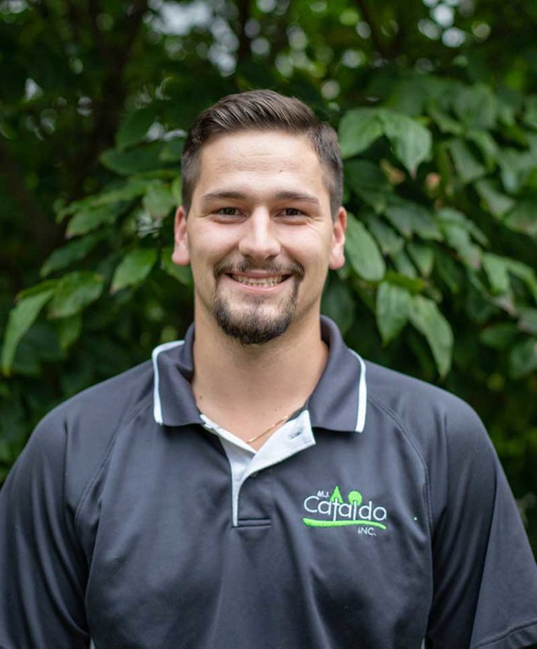 About - MJ Cataldo Landscape & Construction